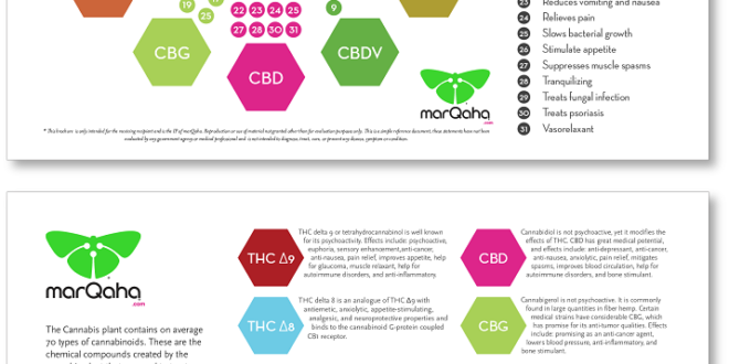 Cannabinoid Reference Chart